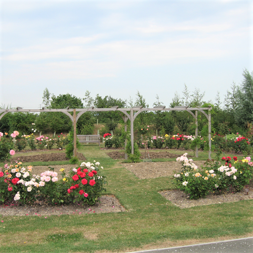 Garden of England Crematorium, Sittingbourne - James Blake Associates